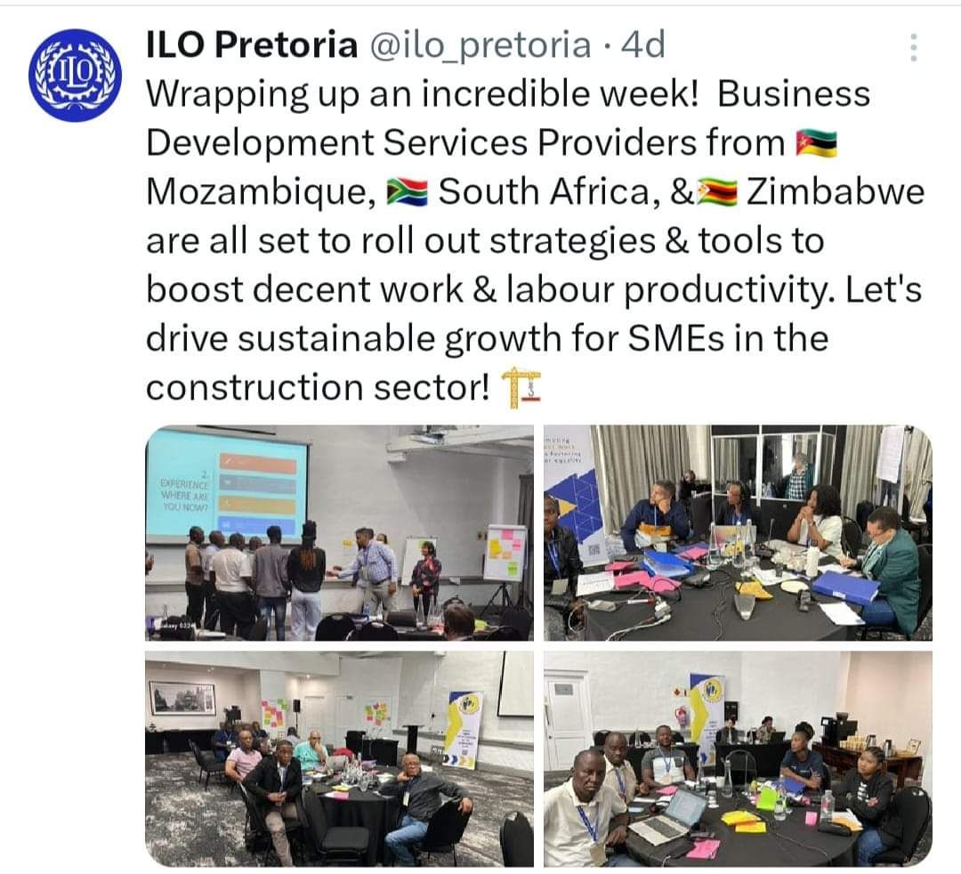 Snapshot & gallery of work - Every Link Matters